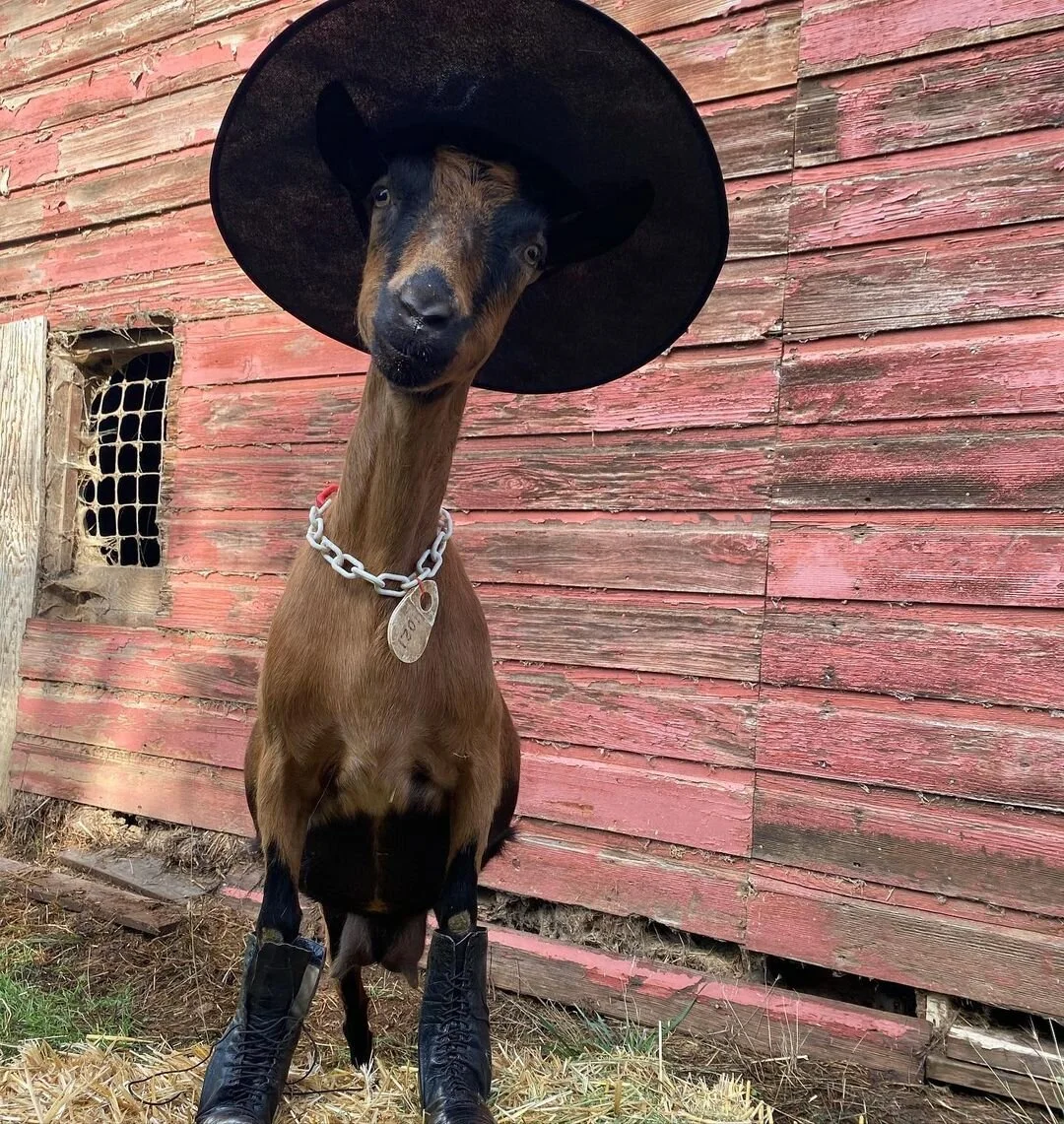 Fraga Farm