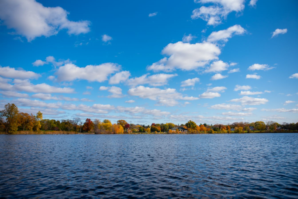 News — Elizabeth Shaffer for Parks