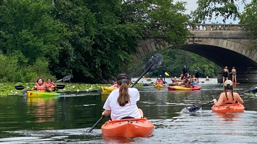 News — Elizabeth Shaffer for Parks