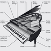 Grand Piano vs. Upright Piano: Detailed Anatomy Comparison for Musicians