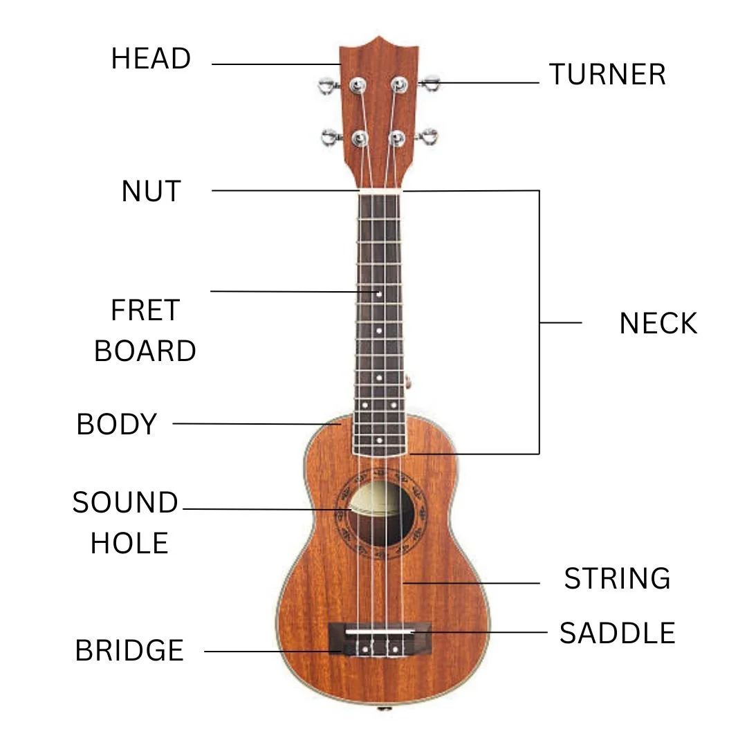 Learn to Play Ukelele- Chords, Tabs, Tuning & Strings — NUVO Music ...