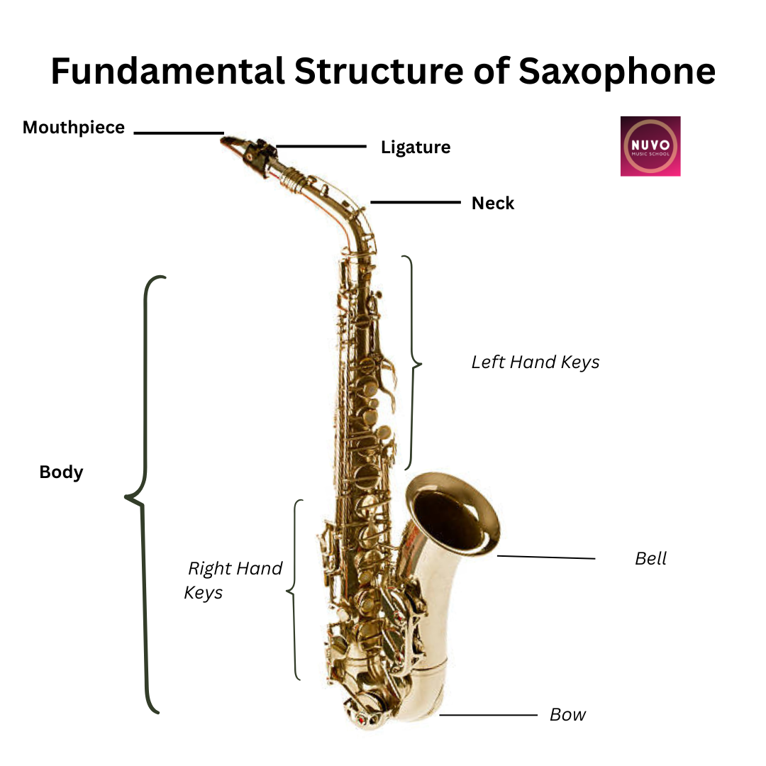 Learn Saxophone in Surrey, White Rock, Langley & Deltaʼs — NUVO Music ...