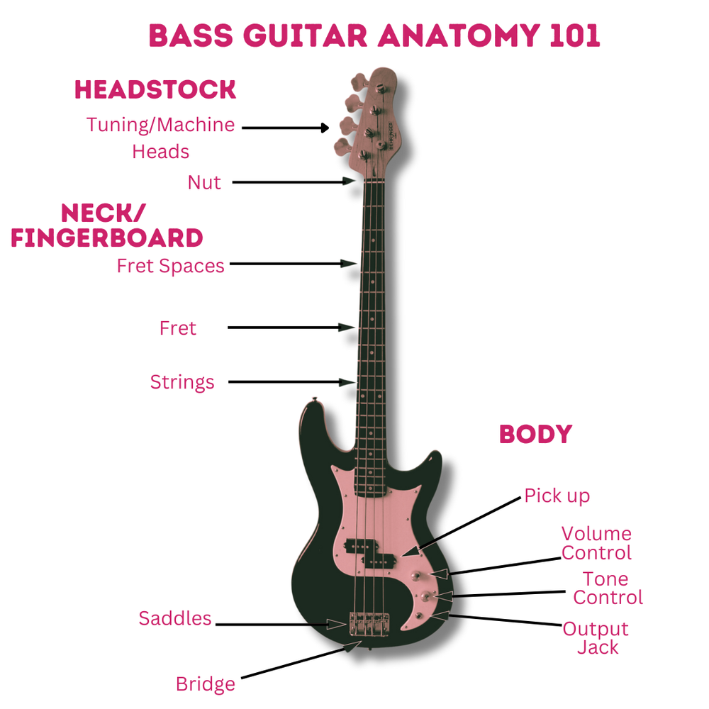 Bass Guitar Anatomy 101