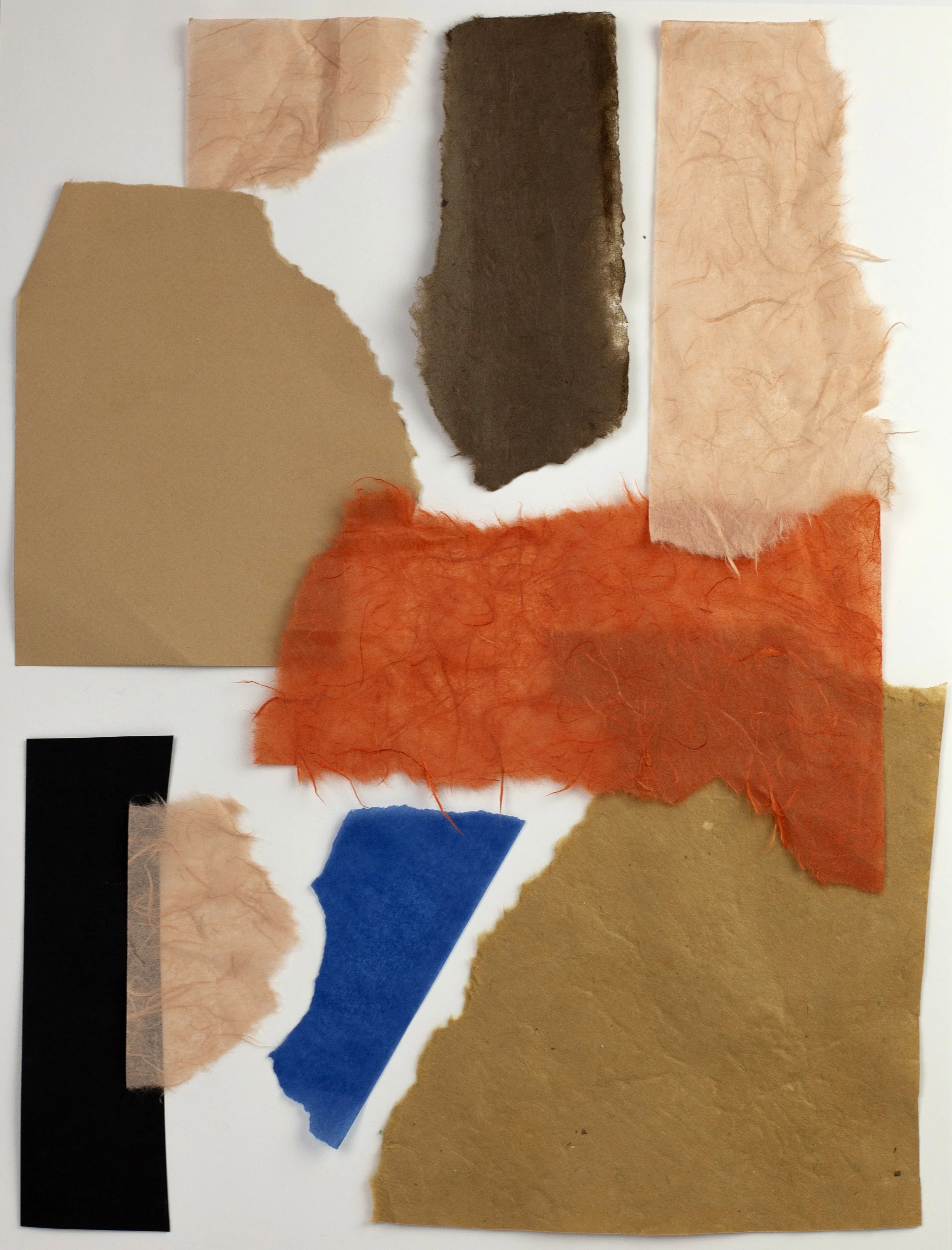 COLOUR — Trend Union / Edelkoort Inc