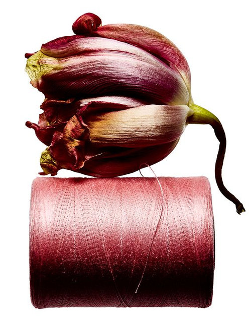 Spring / Summer 2026 — Trend Union / Edelkoort Inc