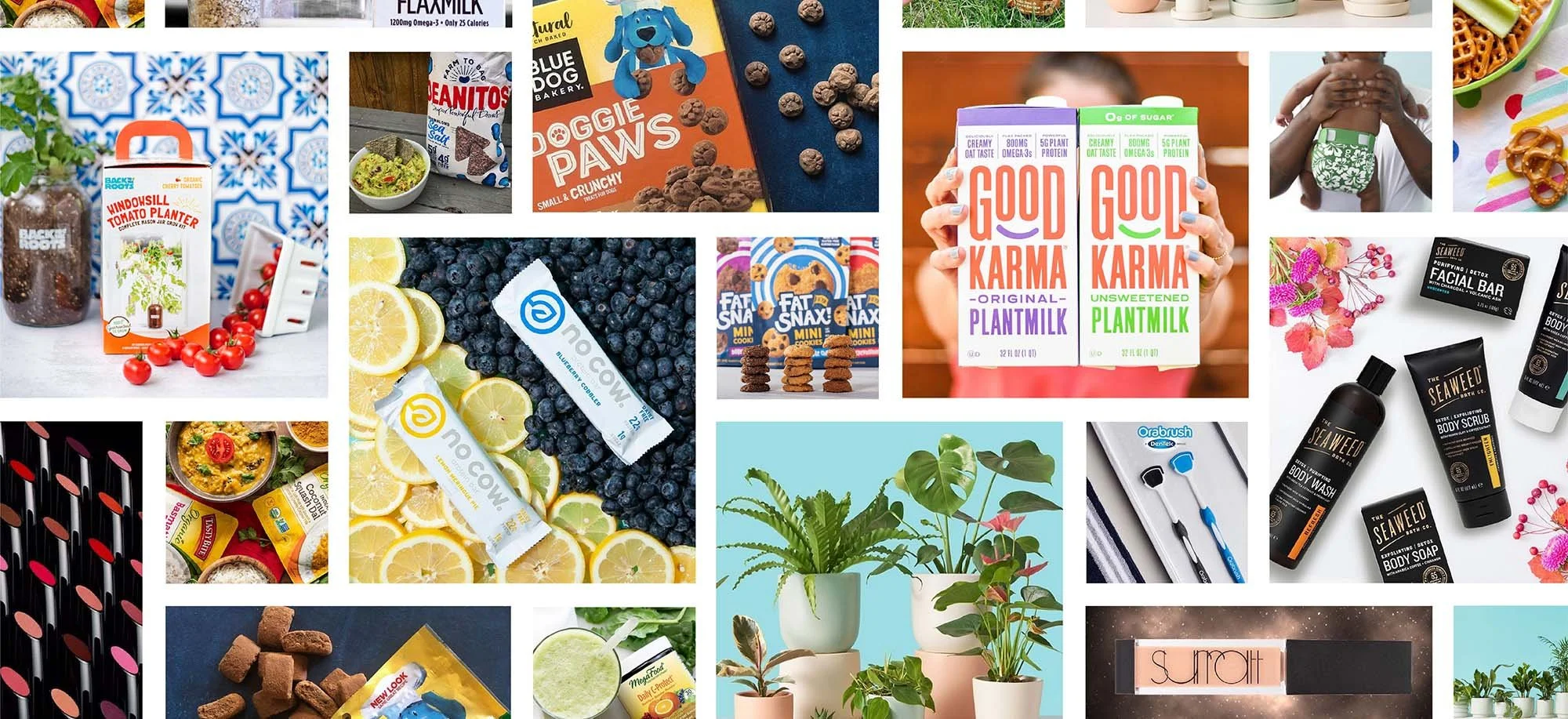 Brands — Loft Growth Partners