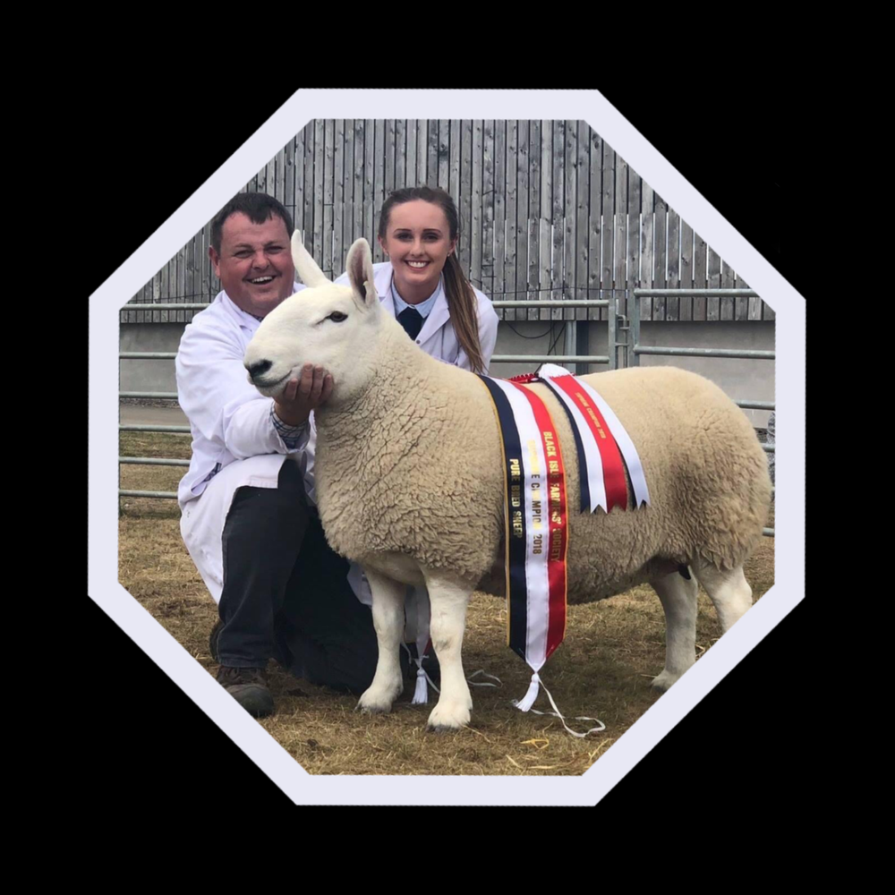 ABOUT US — FARM STOP