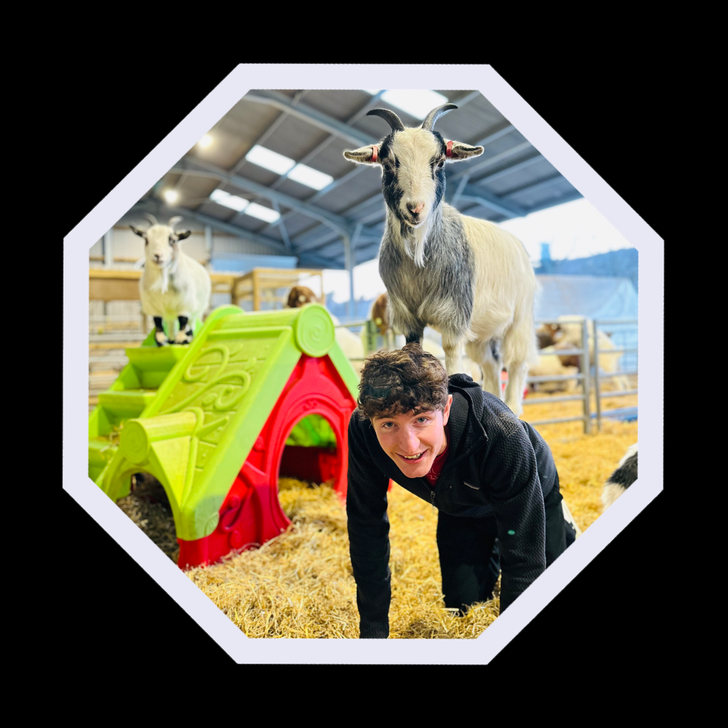 GIFT VOUCHERS — FARM STOP