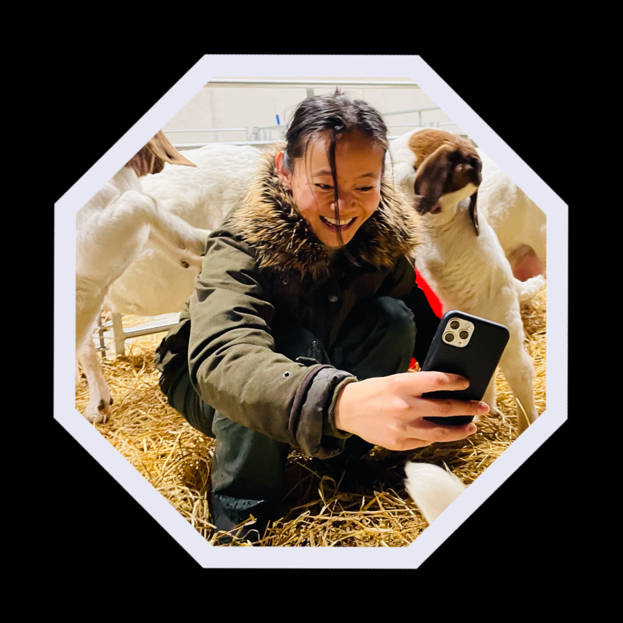 FARM EXPERIENCES — FARM STOP