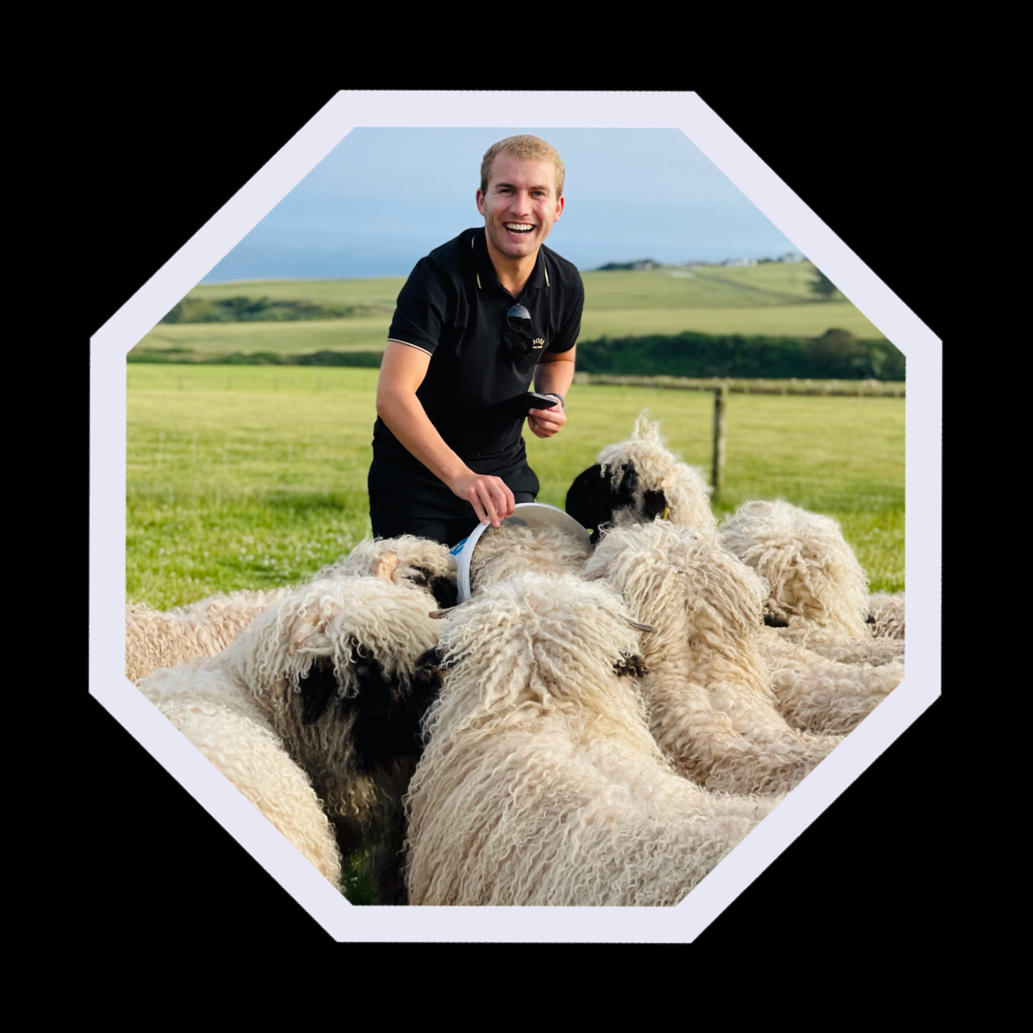 FARM EXPERIENCES — FARM STOP
