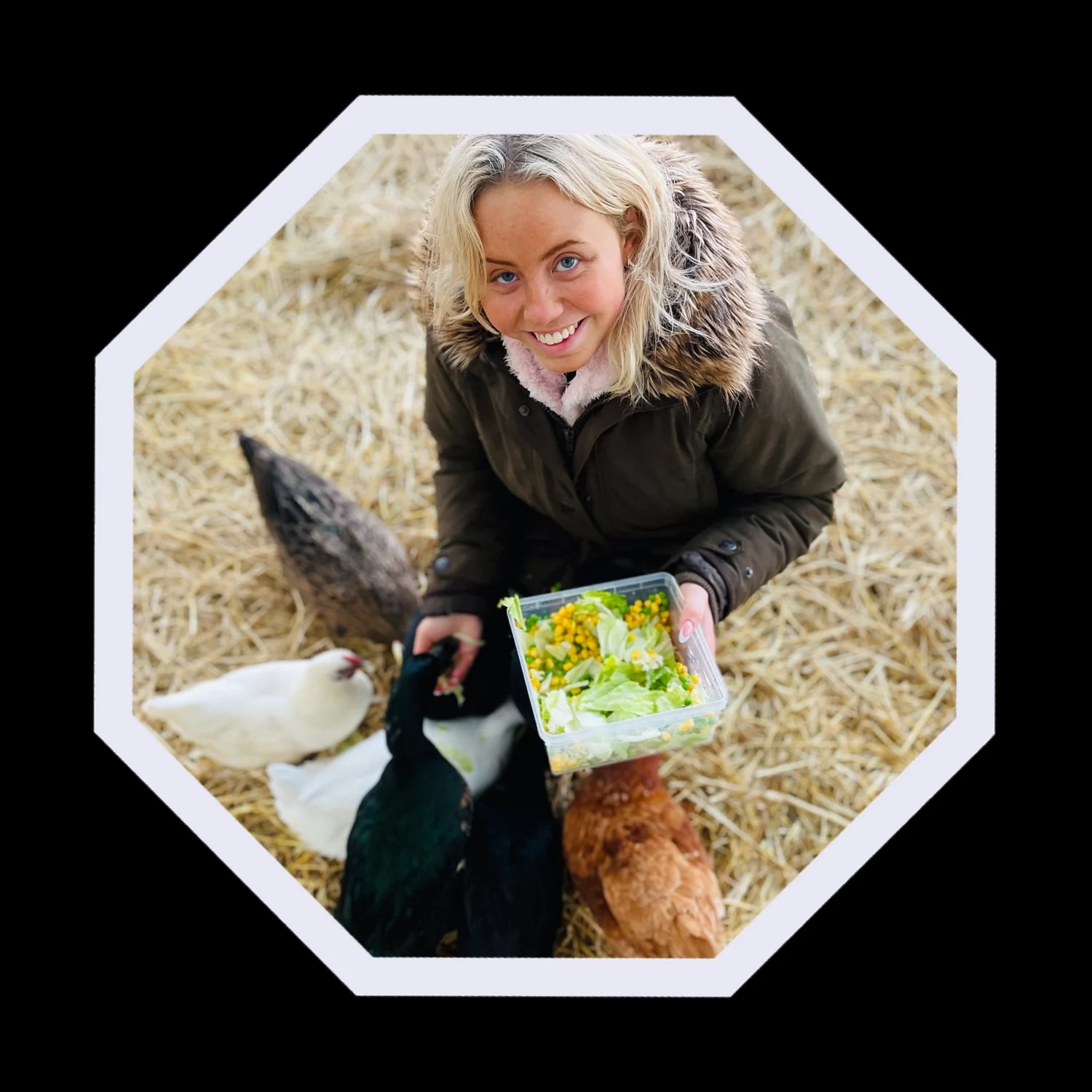 FARM EXPERIENCES — FARM STOP