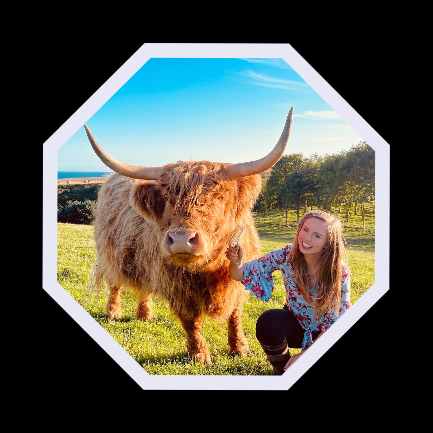 ABOUT US — FARM STOP