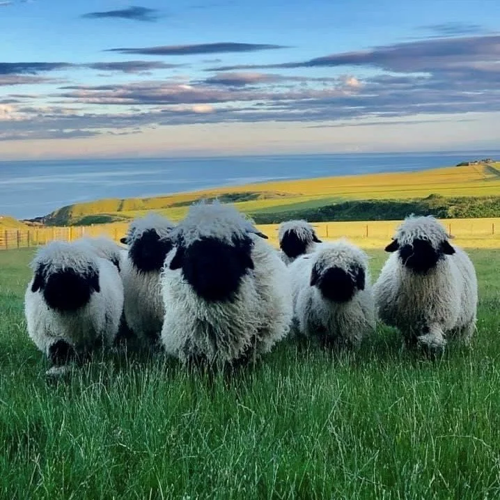 FARM STOP