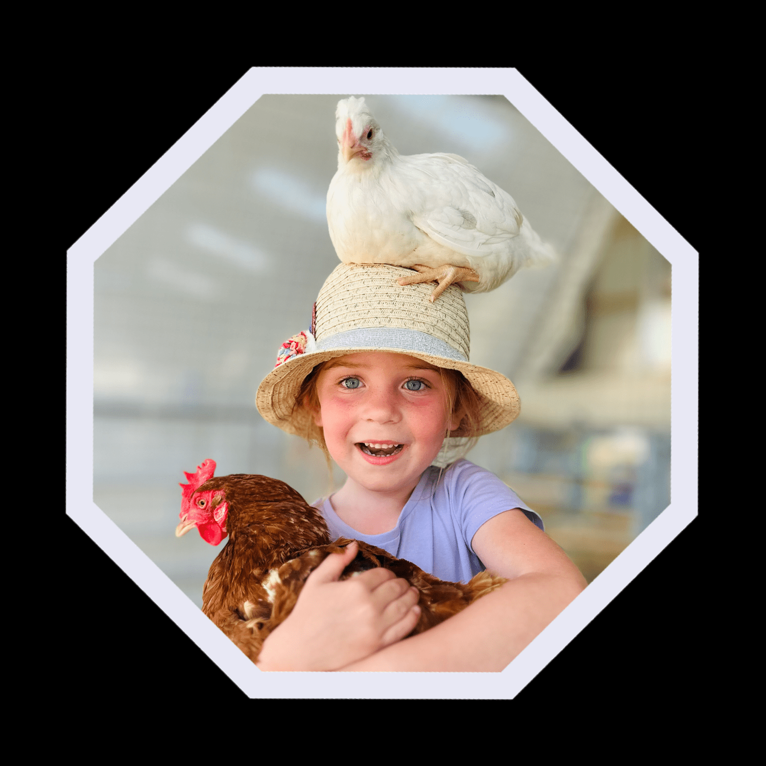 GIFT VOUCHERS — FARM STOP