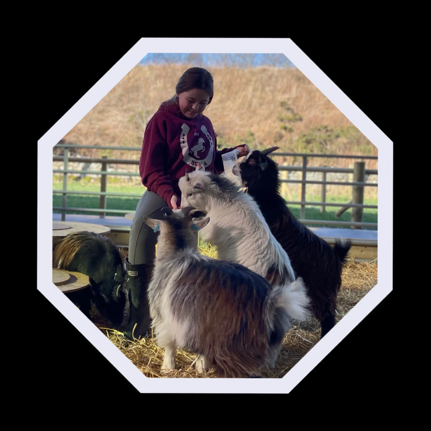 FARM EXPERIENCES — FARM STOP