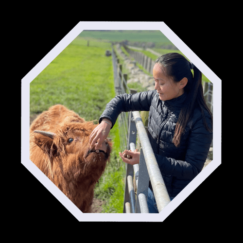 FARM EXPERIENCES — FARM STOP