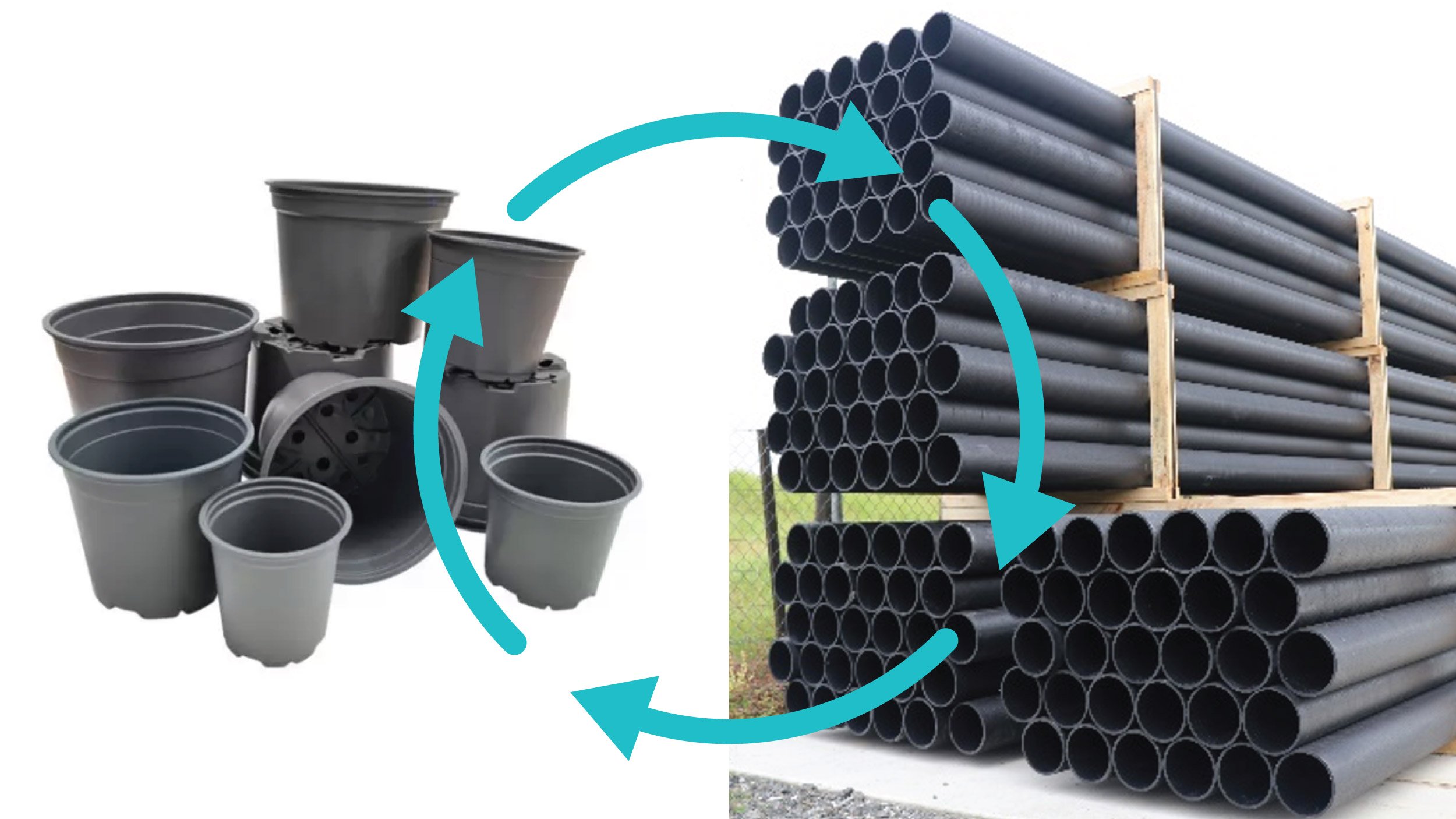 Closed Loop Recycling Process — Kauri Park