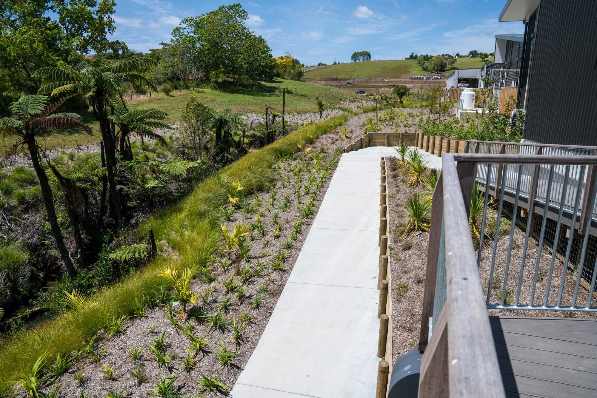 Kauri Park — We are on a mission from Mother Nature herself.