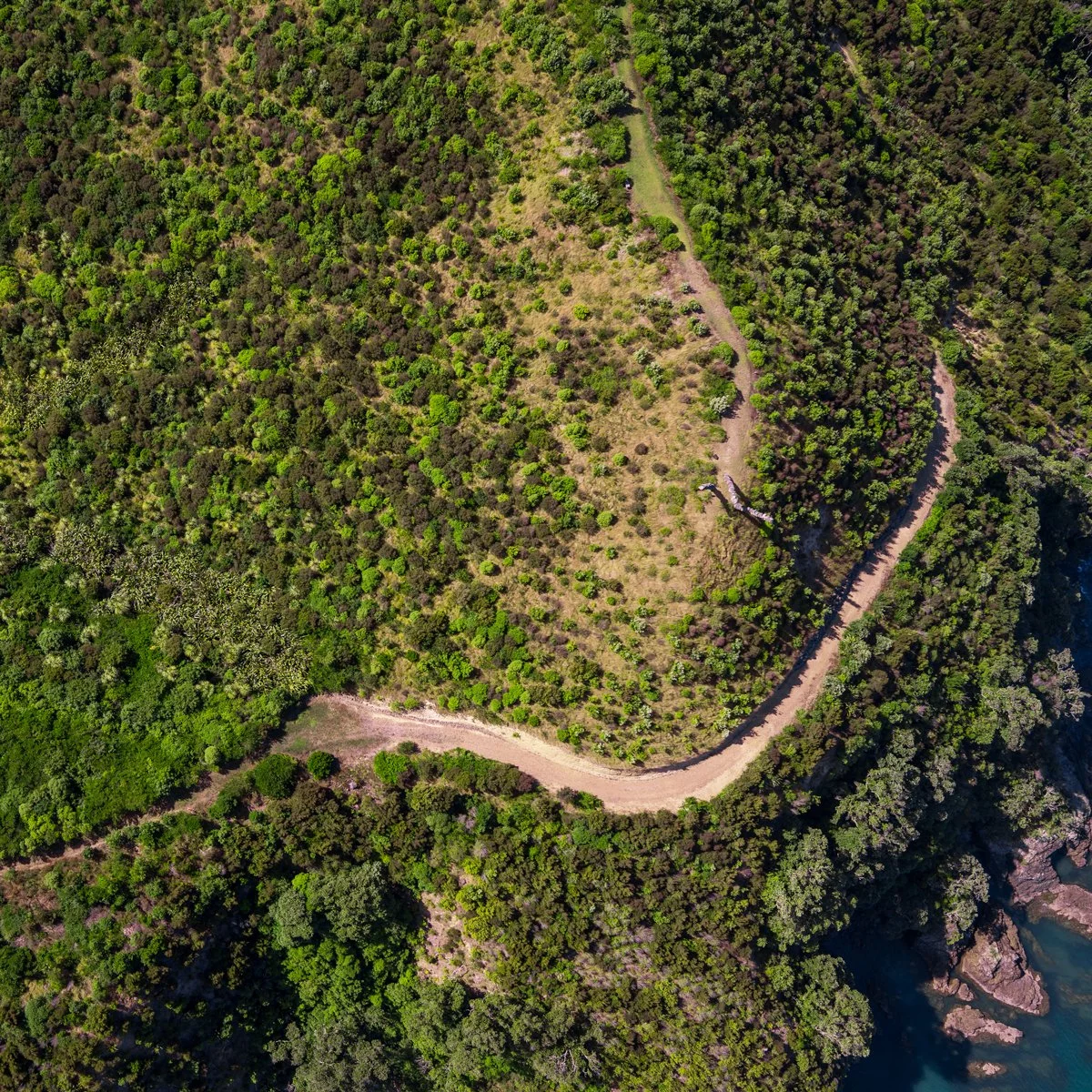 Kauri Park — Ecosystem Services and Biodiversity