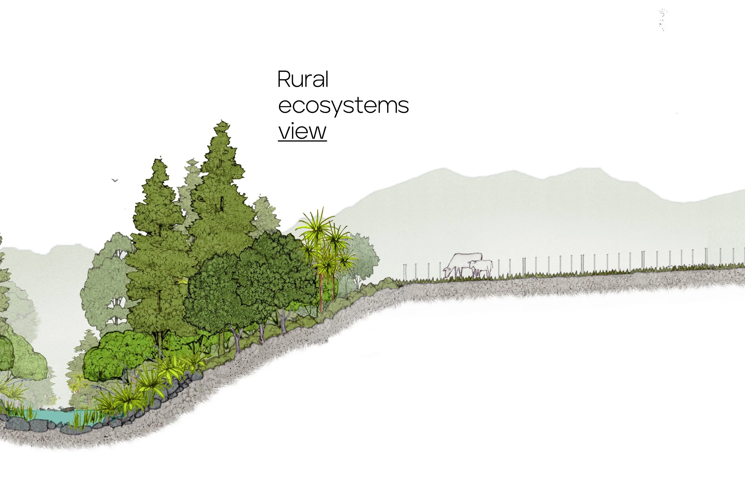 Kauri Park Urban Ecosystems