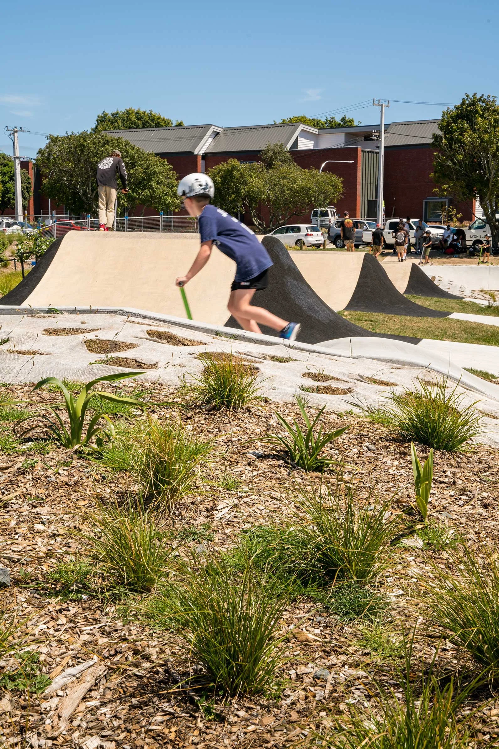 Kauri Park — About