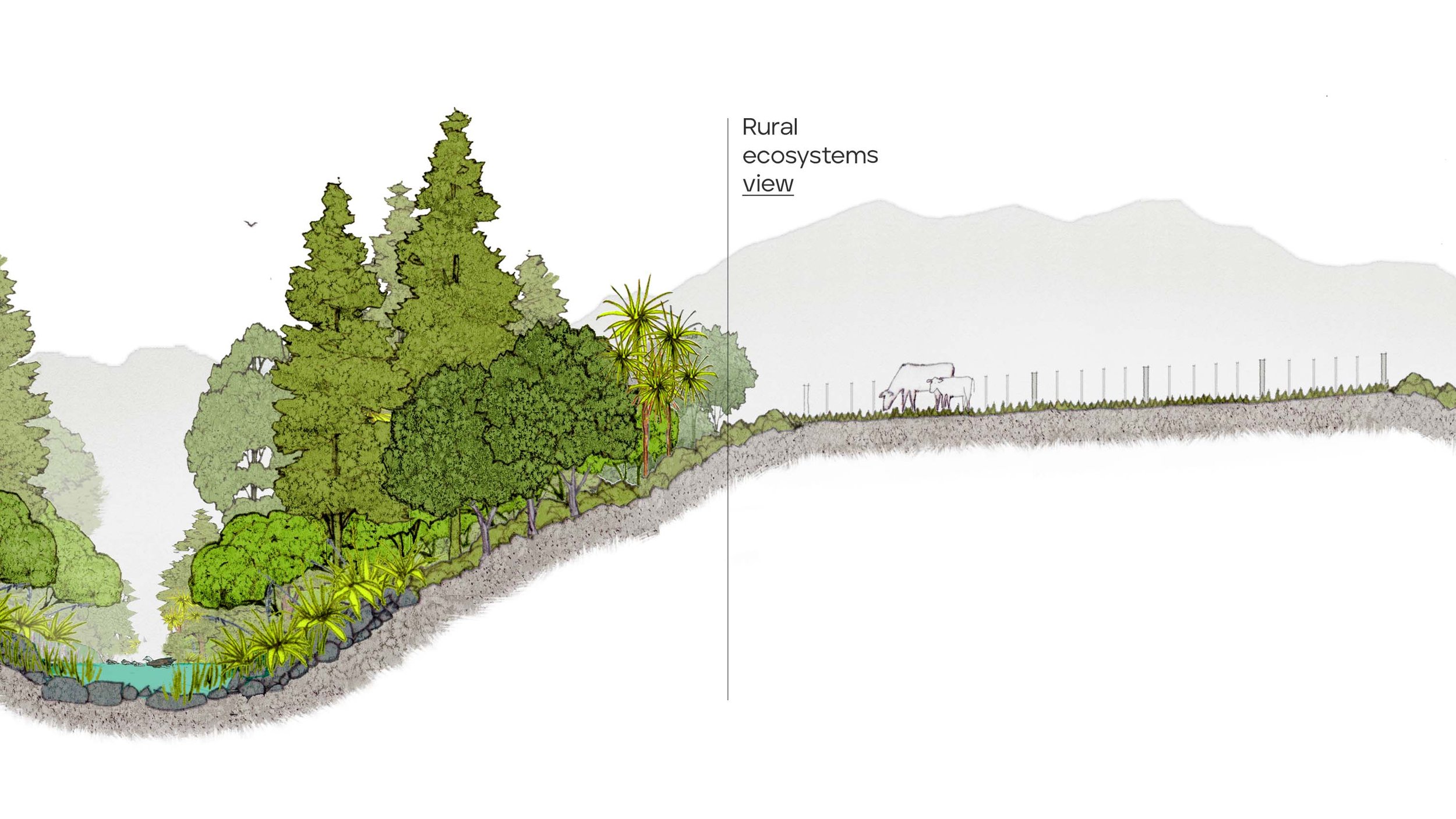 Kauri Park — Rural ecosystems