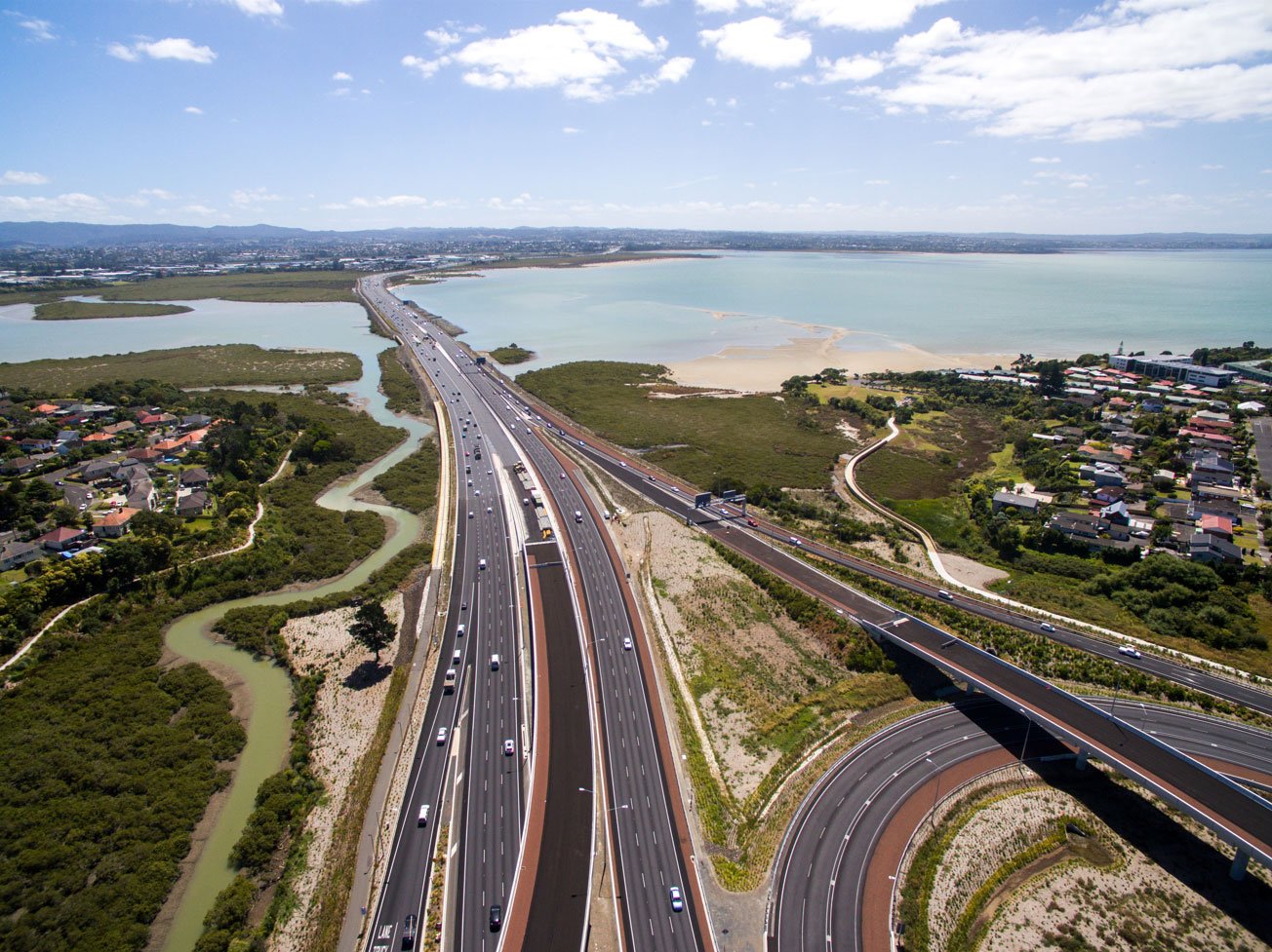 Kauri Park — We are on a mission from Mother Nature herself.