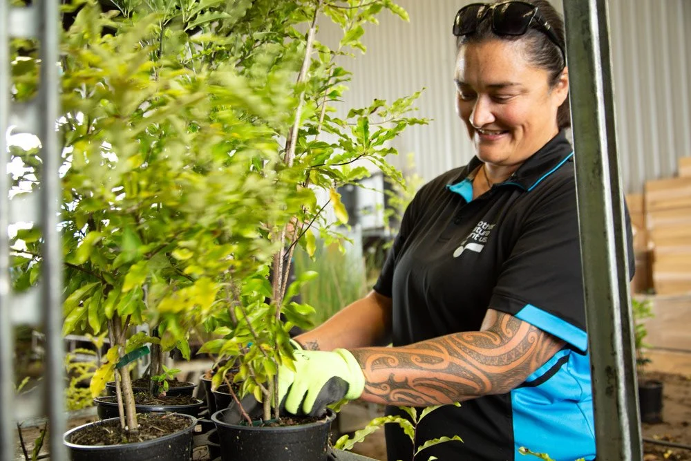 Kauri Park — Upload Plant List