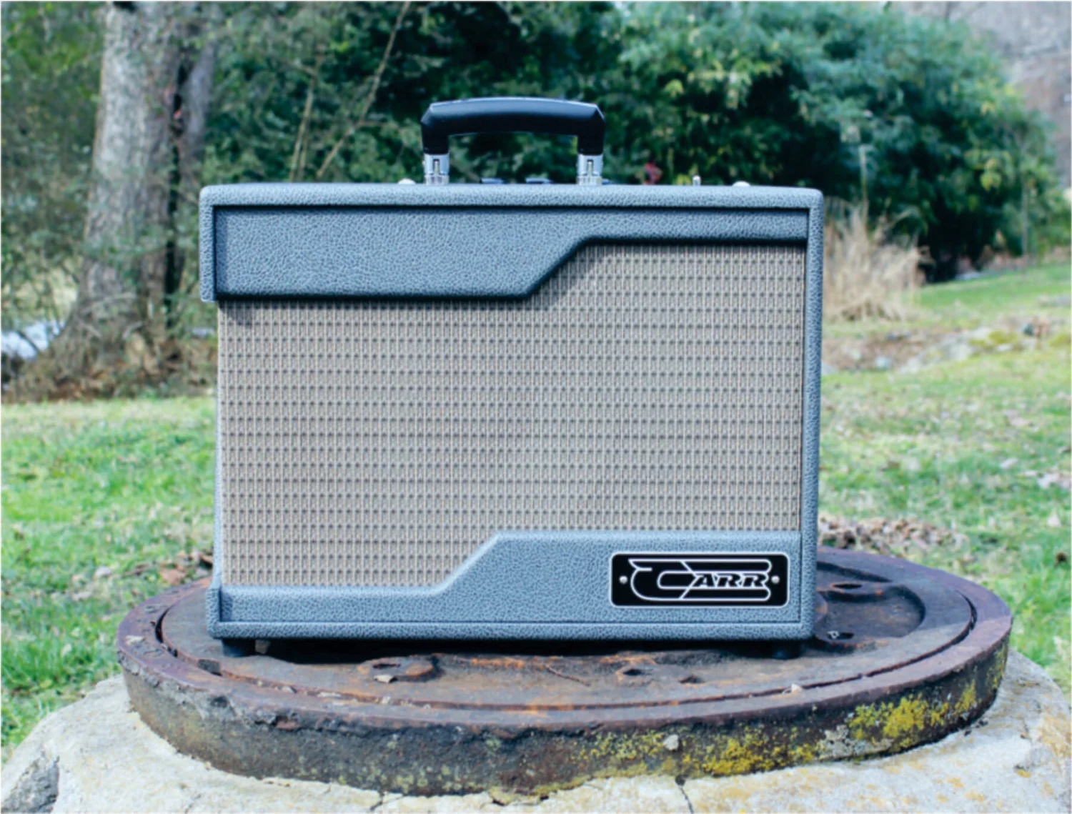 Raleigh — Carr Amps