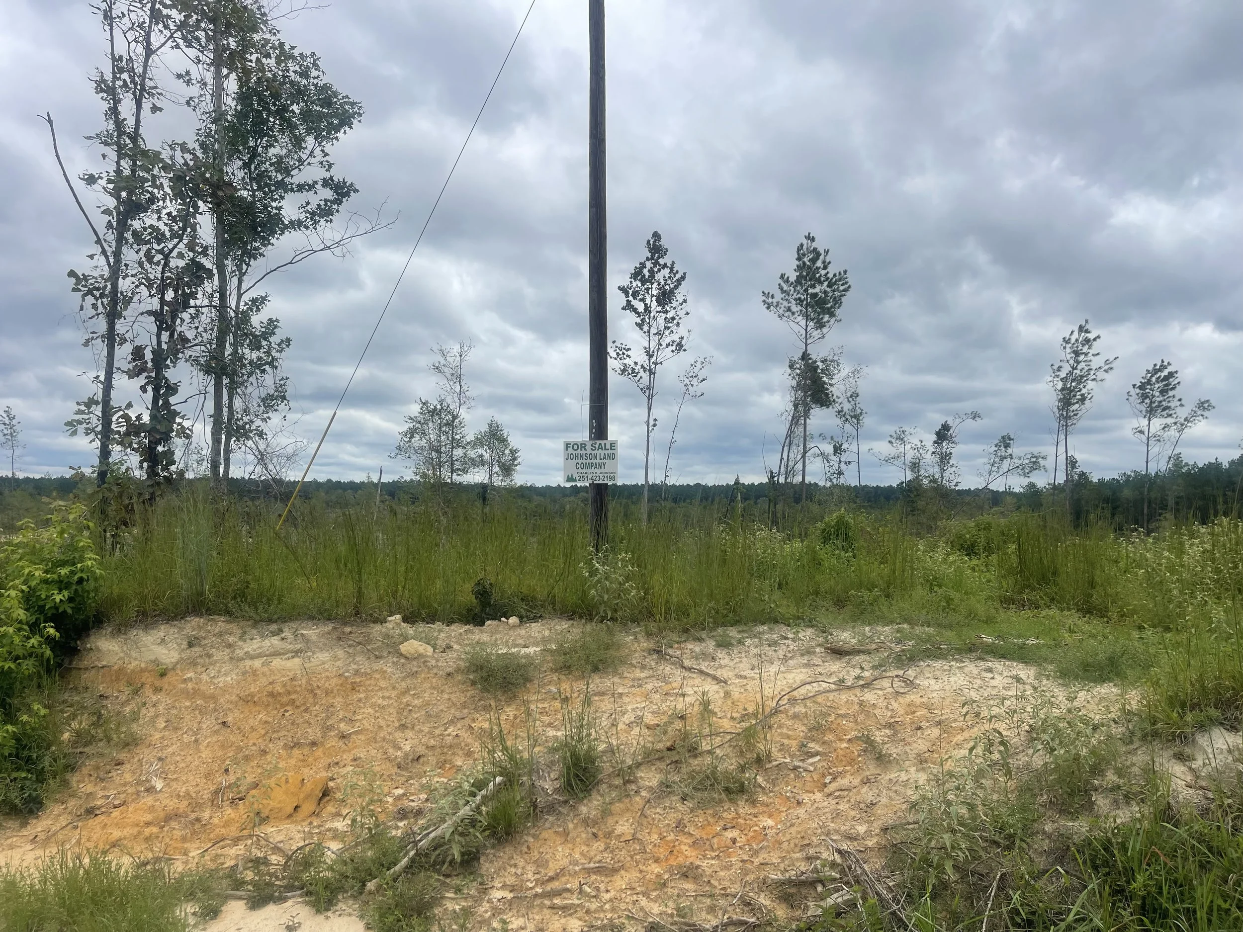 Wayne County, MS Jack Clark Road 94 — Johnson Land Company