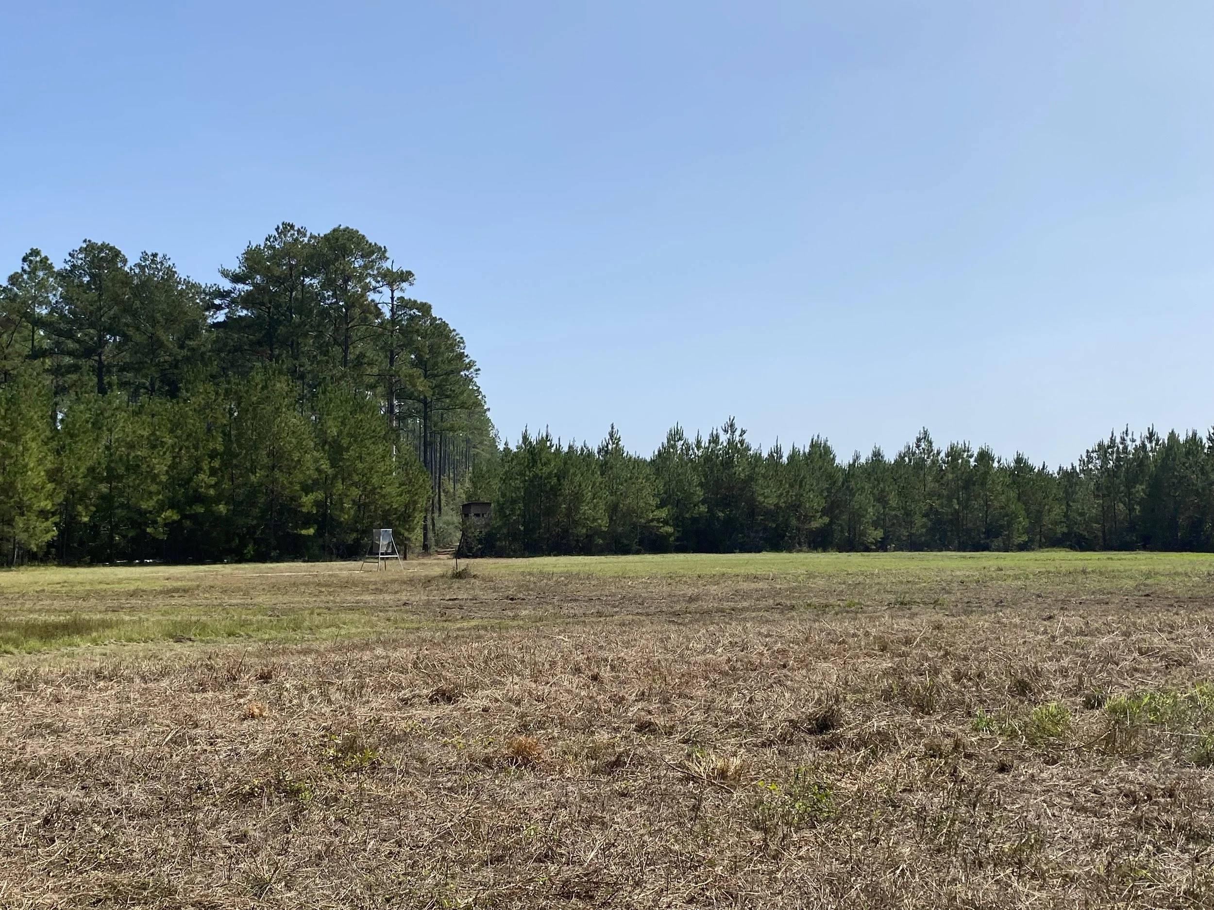 Wayne County, MS Mason South 118 — Johnson Land Company