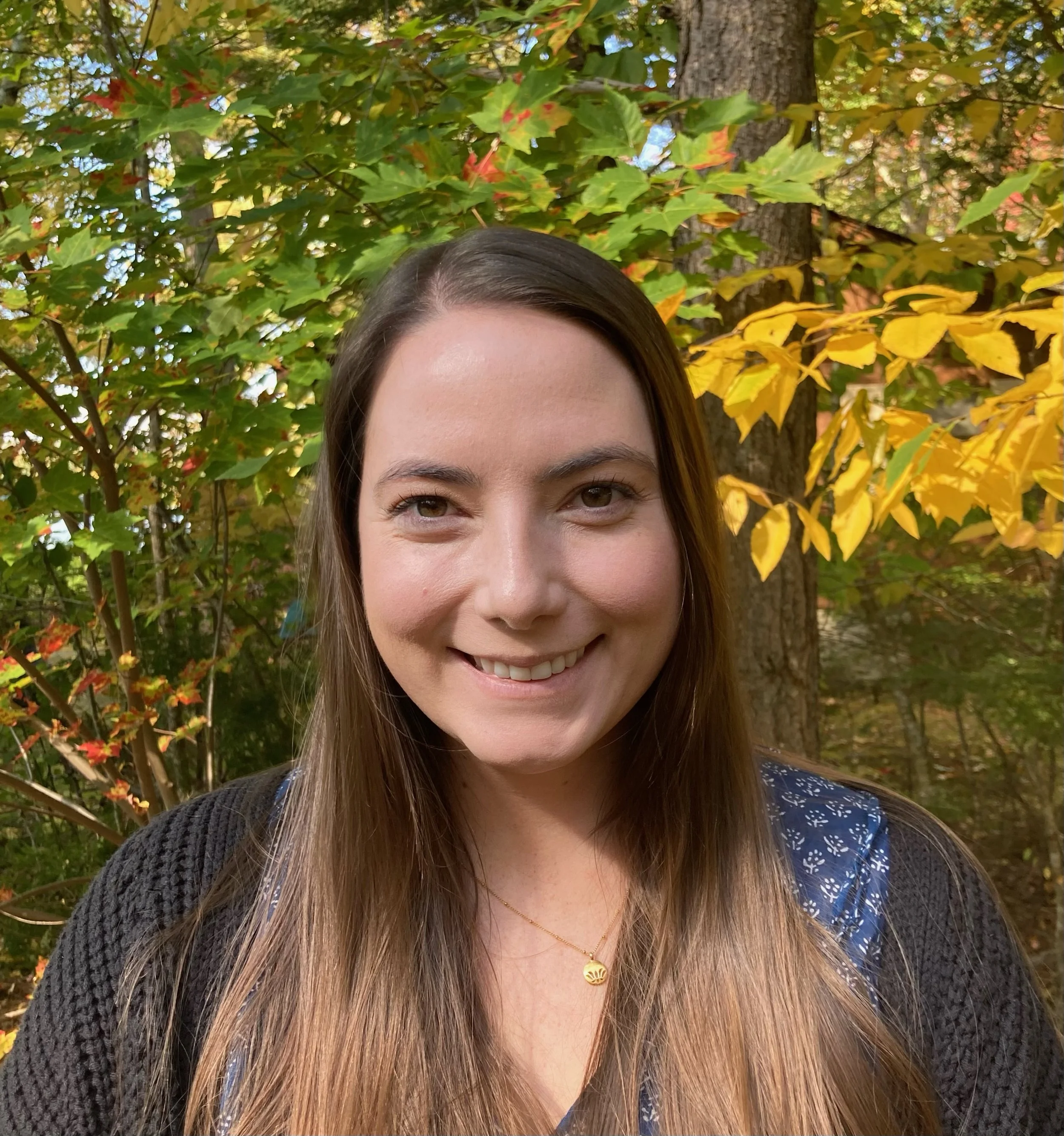 Welcome [www.holisticrecovery.info]