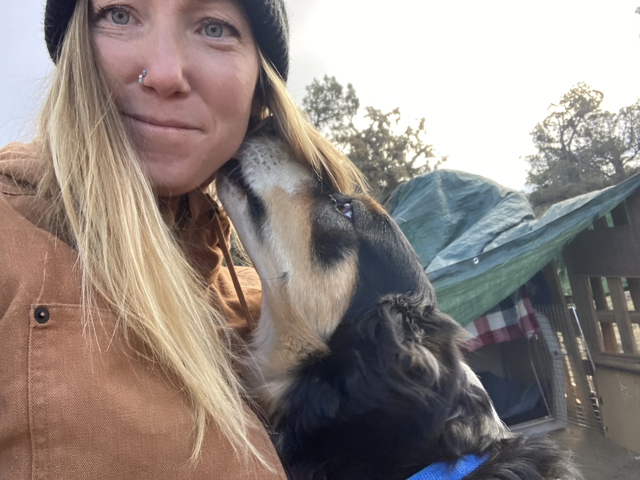 About 3 — Companion Animal Medical Project