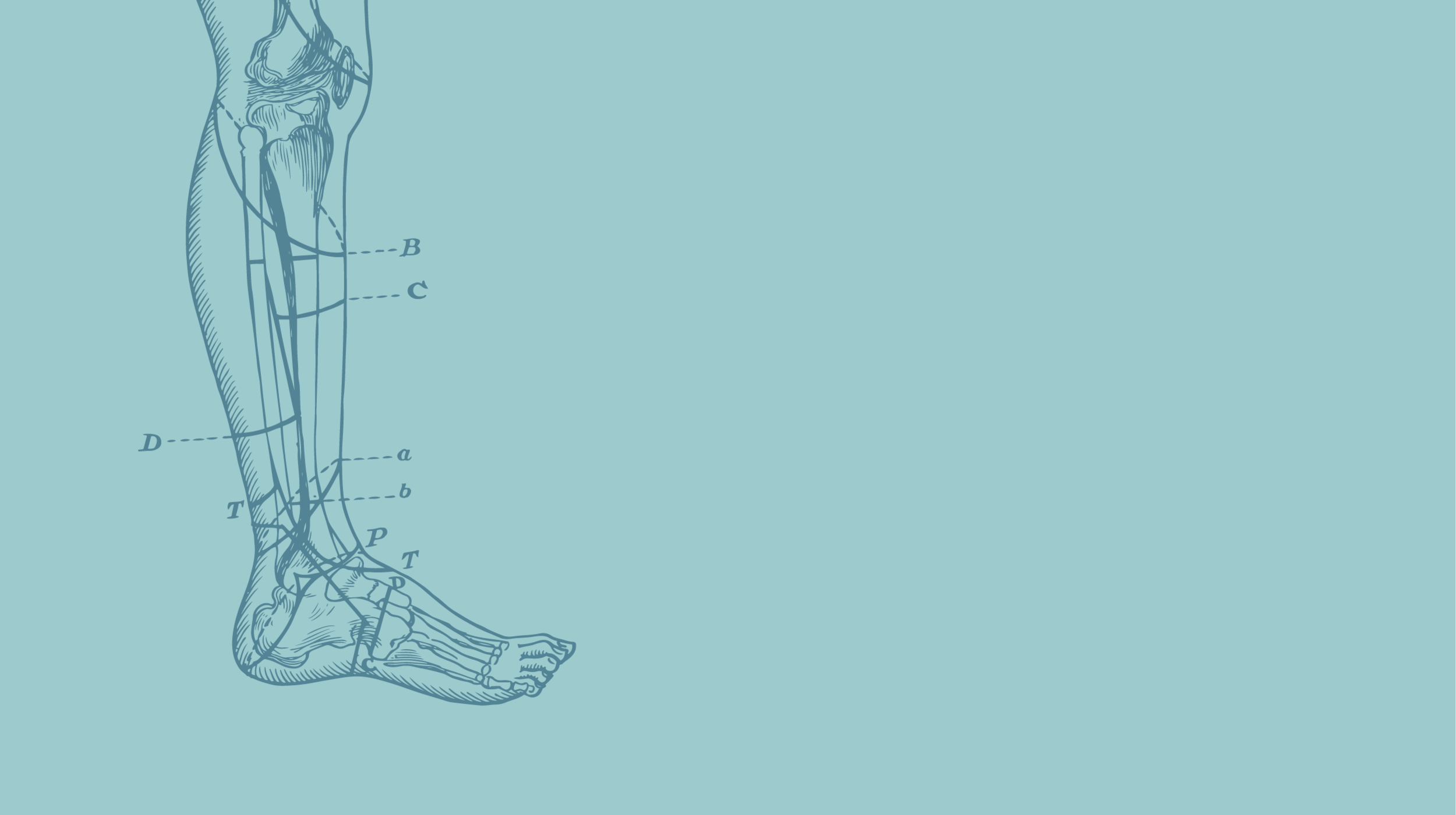 Lower Limb Reconstruction Surgery — Dr Michael Symes