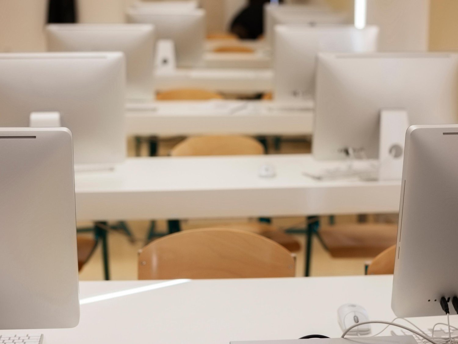 Services - Education — Inclusive OT - Possibility is Now Accessible