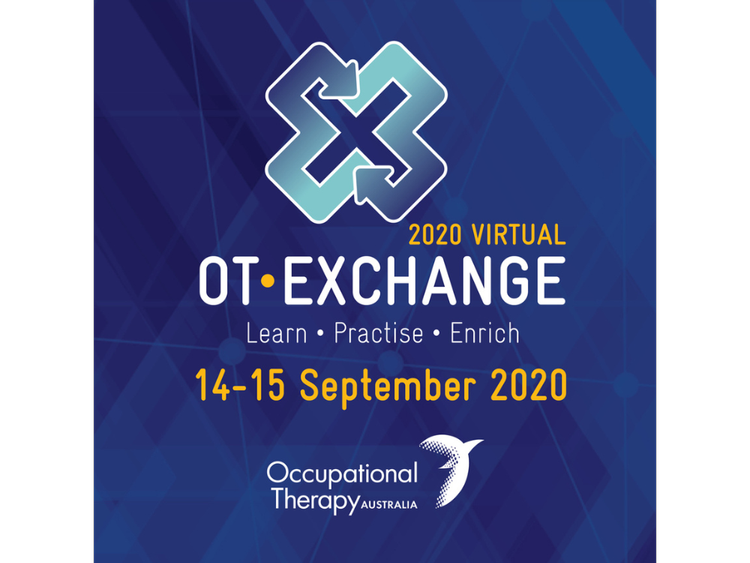 Services - Education — Inclusive OT - Possibility is Now Accessible