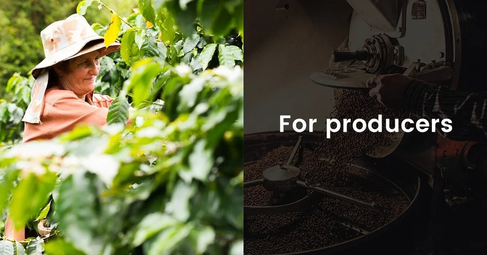 A Guide to Sourcing and Selling Green Coffee Directly — Green Coffee Summit