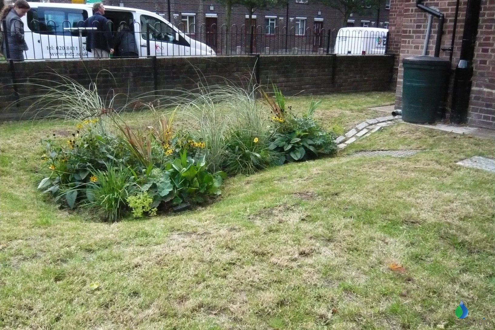 How Can Rain Gardens Help Community Action For Water how-can-rain-gardens-help-community-action-for-water