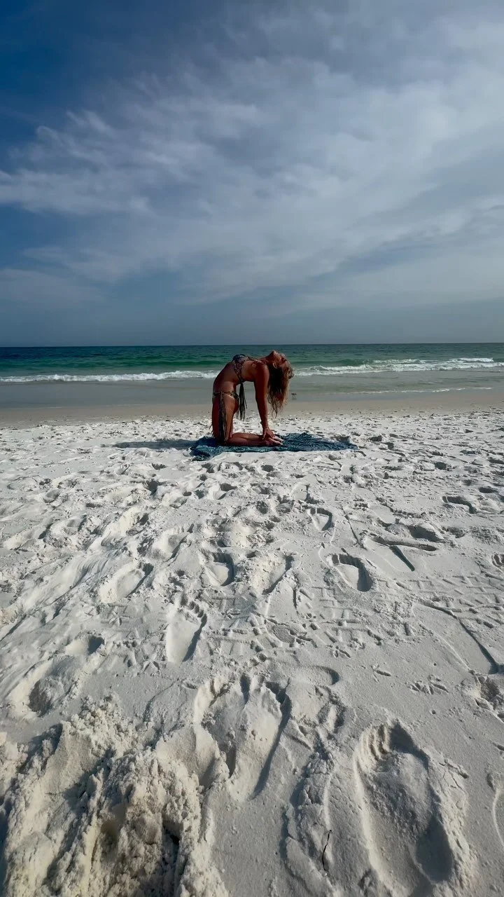 amyleayogaandwellness.com