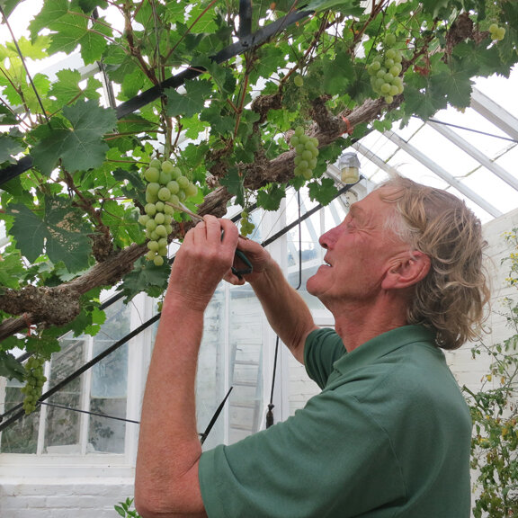 Kitchen Garden — Cadland Estate