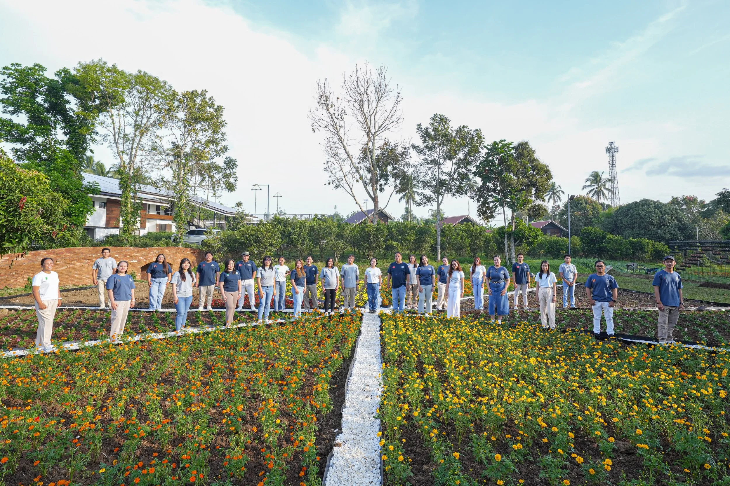 About — Pedro Farms