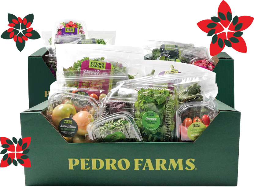 Christmas Boxes (Copy) — Pedro Farms