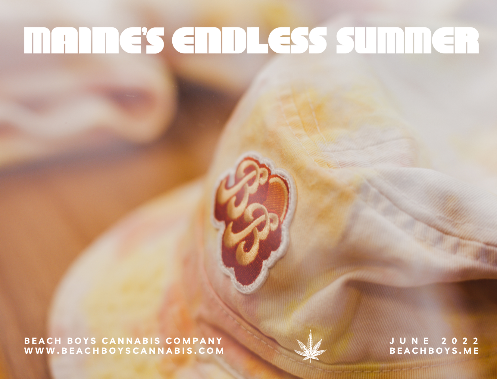 Shop South Portland — Beach Boys Cannabis Company