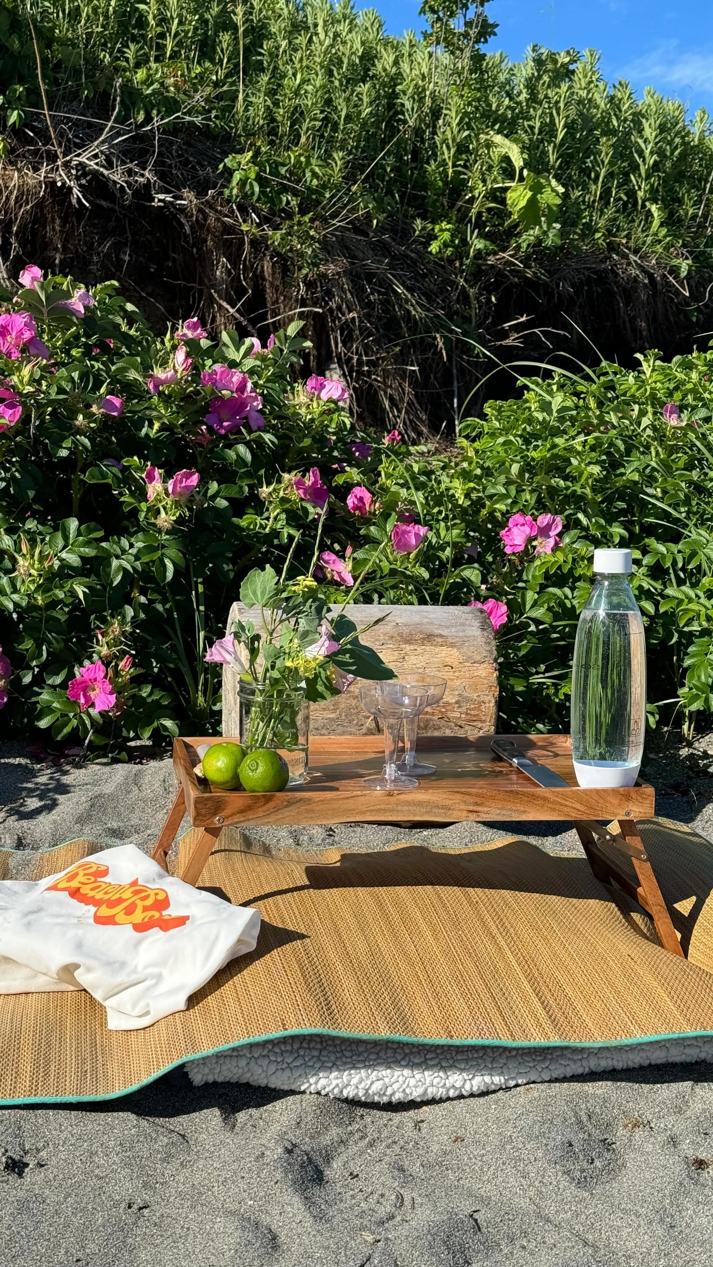 Beach Boys Cannabis Company