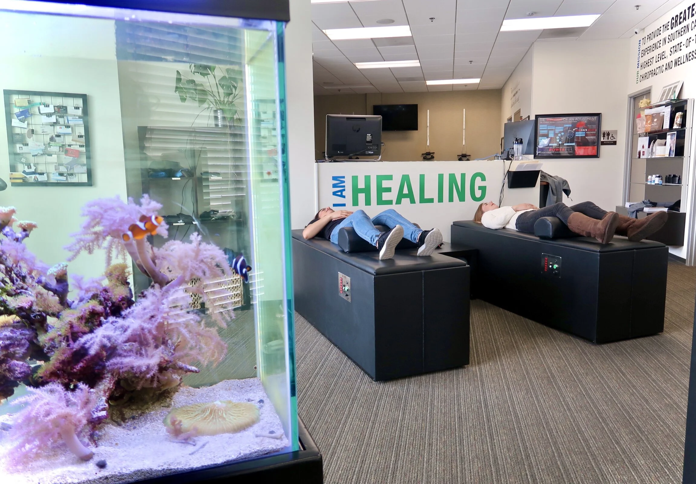 What to Expect — Element Wellness Center