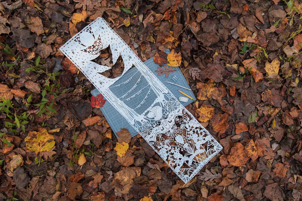 Take A Closer Look — Annie Howe Papercuts