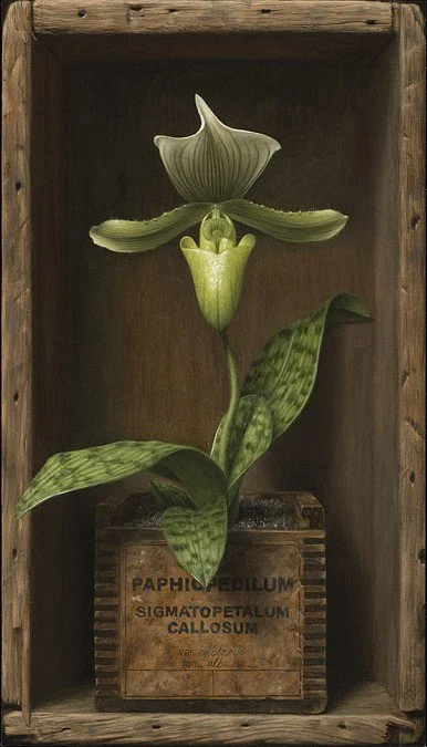 Classes — Sanctuary Arts