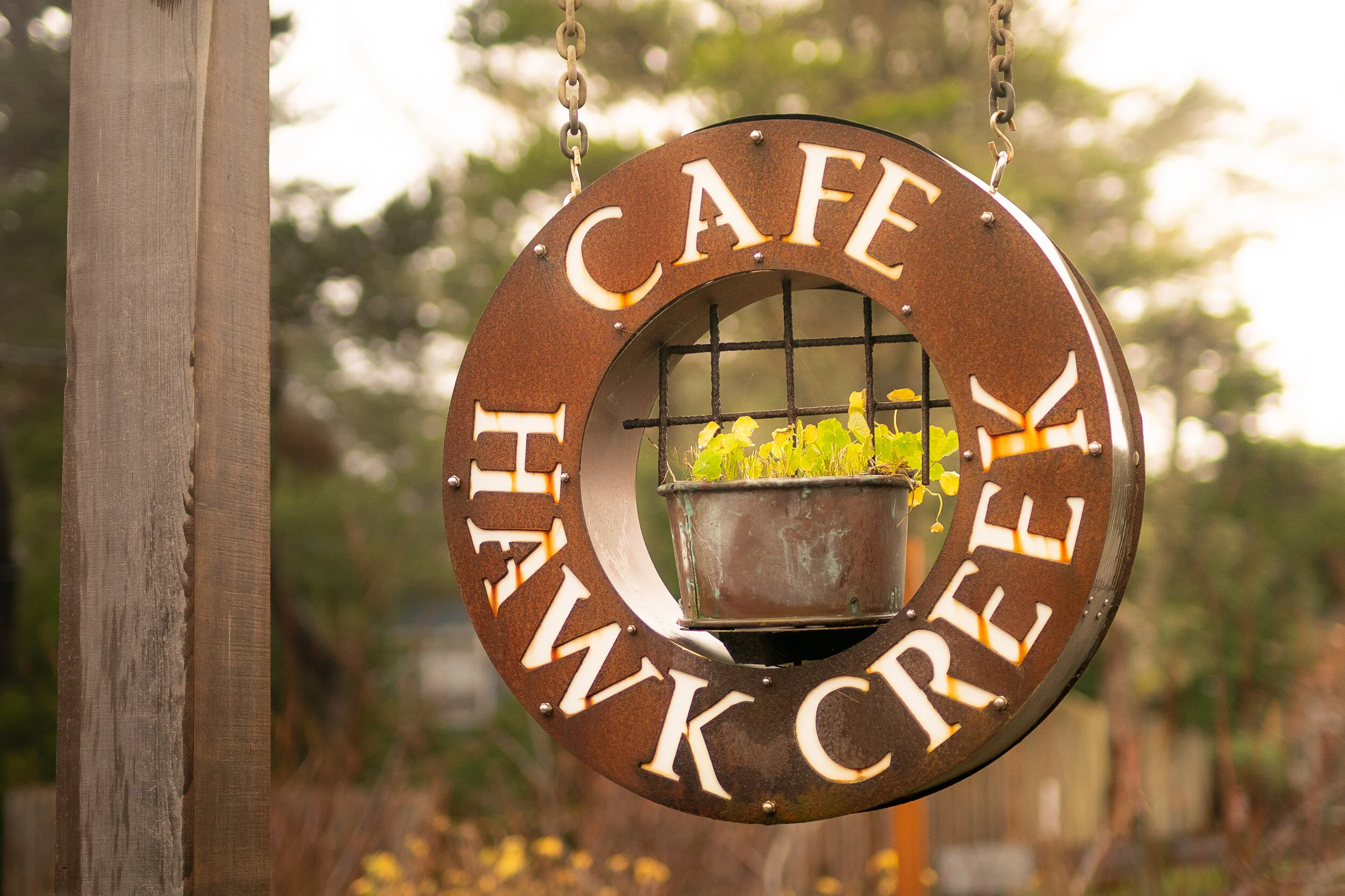 Hawk Creek Café