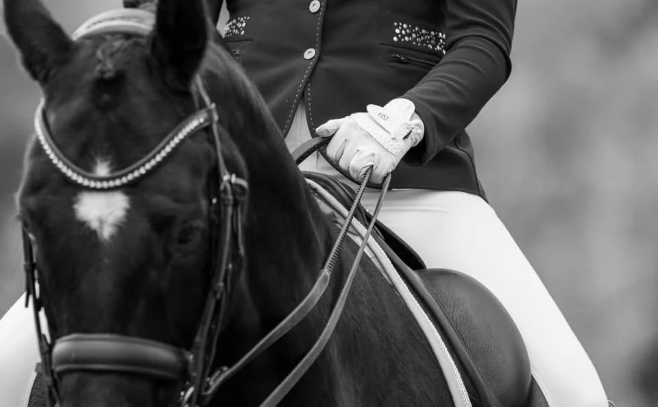 High Point Equestrian Club Langley