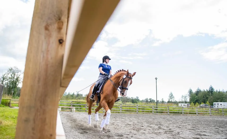High Point Equestrian Club Langley